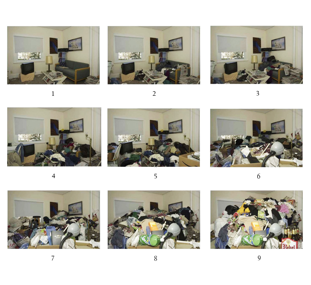 Jon Day · Diary: Hoardiculture