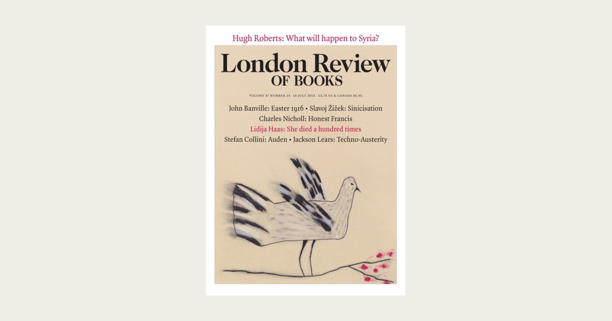 Slavoj Žižek · Sinicisation: Sinicisation · LRB 15 July 2015